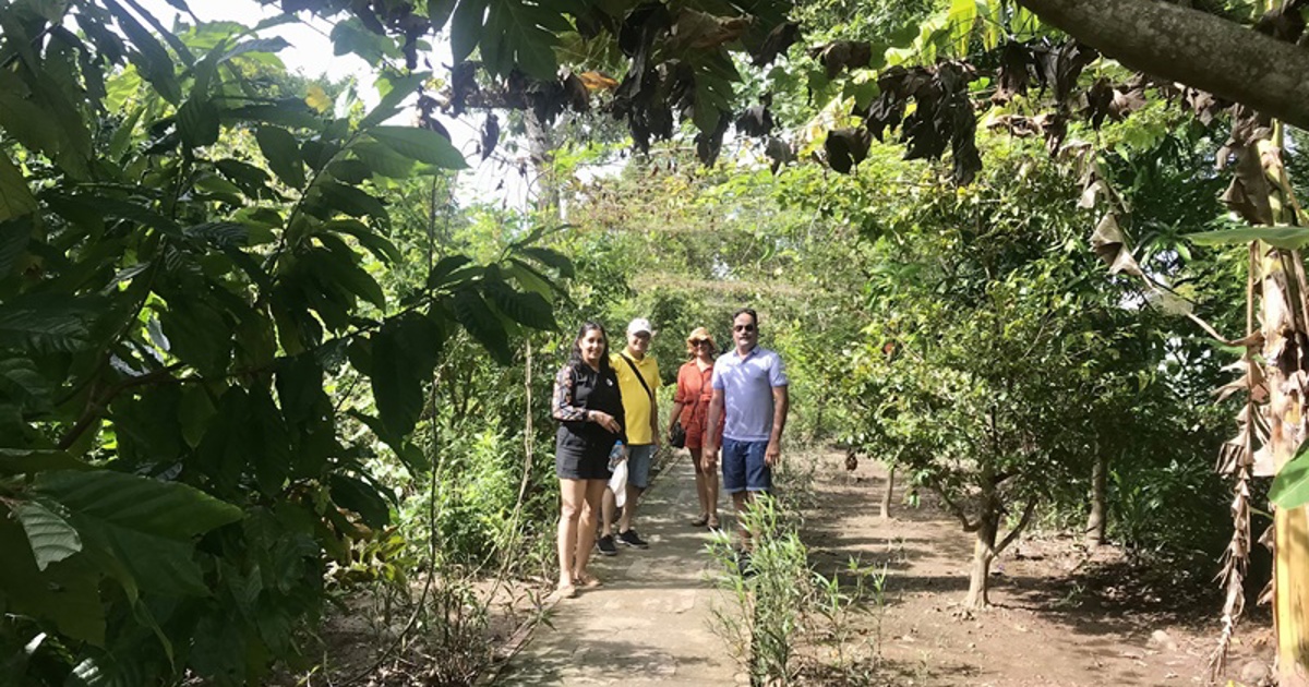 Mekong delta My Tho – Thoi Son – Ben Tre (Electric carts ) 1/2 day